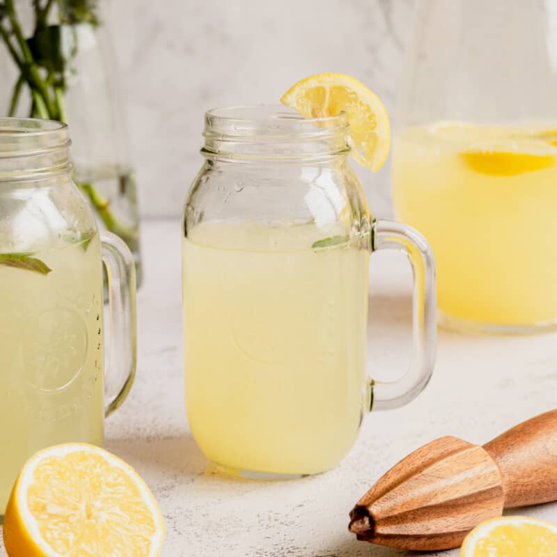Easy Single Serving Lemonade (Recipe For One) - The Curly Spoon